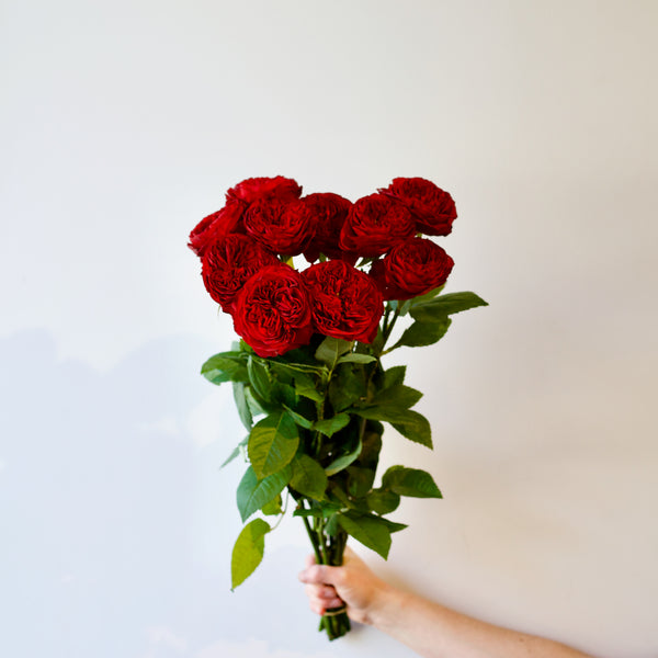 Roses – Flowers By Leaf