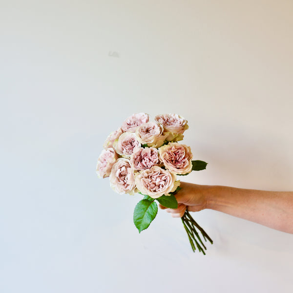 Roses – Flowers By Leaf